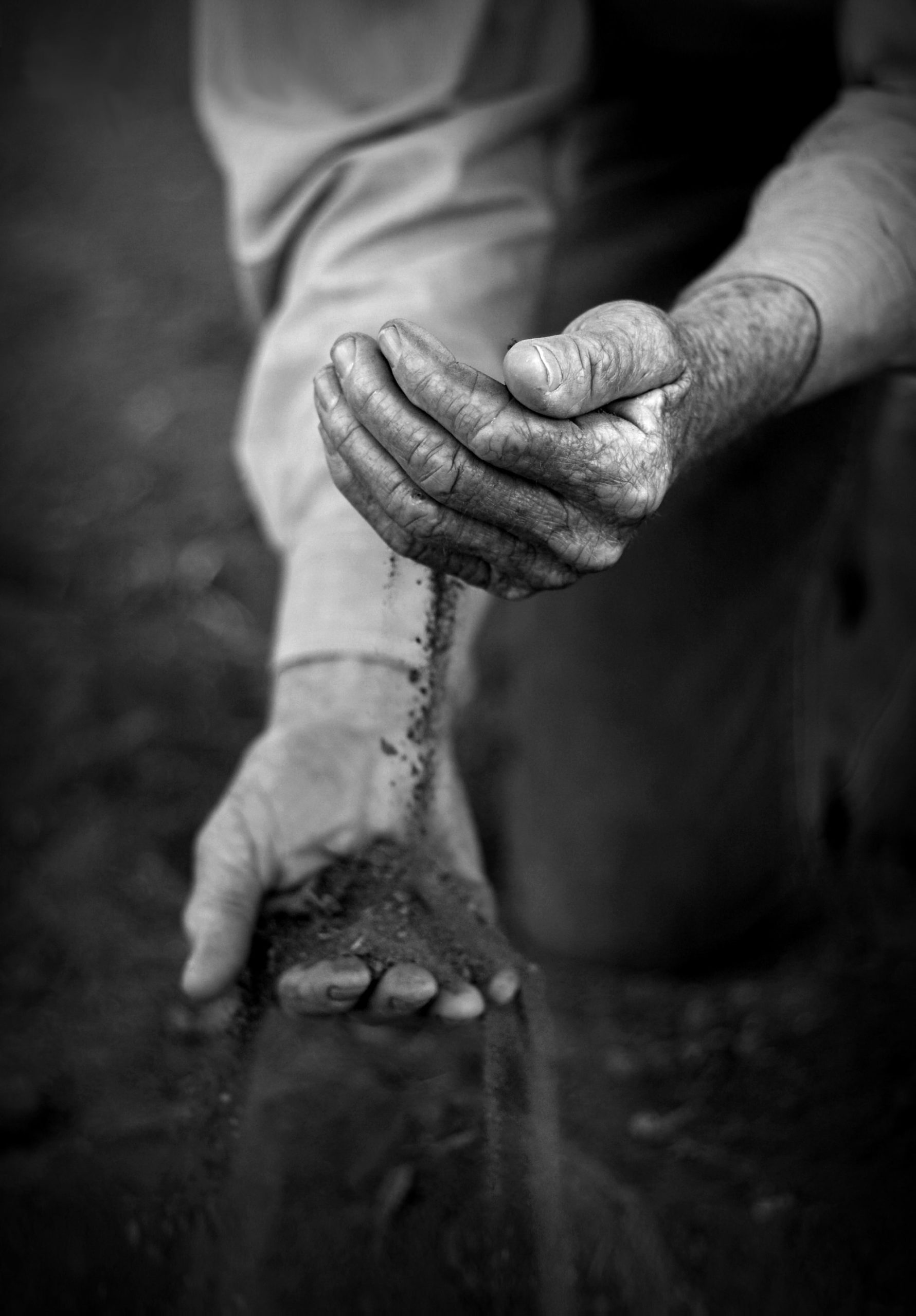 Our Story - Leoness Cellars